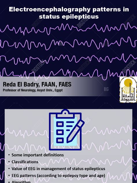 Final Eeg In Status Epilepticus 2 Pdf Electroencephalography Epilepsy