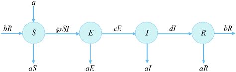 Block Diagram For Seir Model Download Scientific Diagram