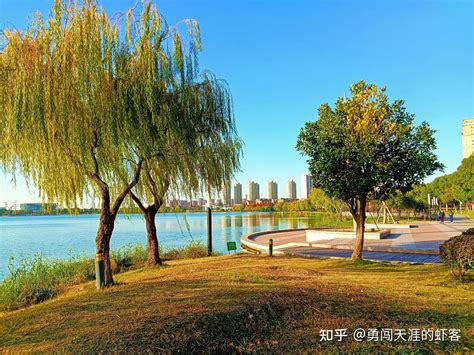 晨跑时候的收获人生何处无风景 知乎