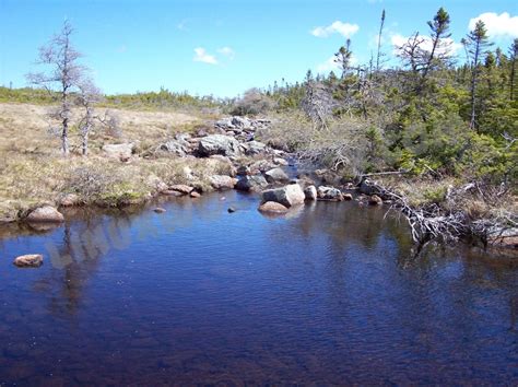 Linux Wolf Pack Linux Resources Help Software Articles And More