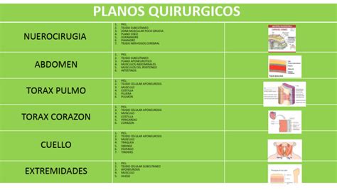 Planos Quirurgicos Pdf