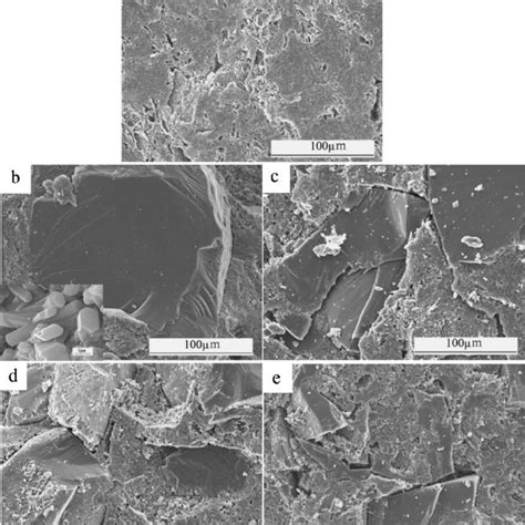 Fracture Surface Microstructure Of Samples With Different Sic Contents
