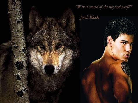 Jacob Wolf  Twilight Wolf Pack Twilight Wolf