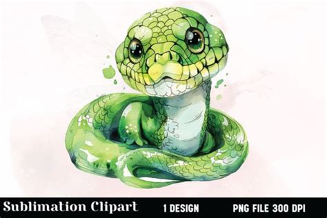 Watercolor Green Anaconda Clipart Png Graphic By Vertex Creative Fabrica