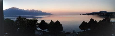 Read2tree Infers Phylogenetic Trees From Raw Sequencing Reads Quick And Easy Research