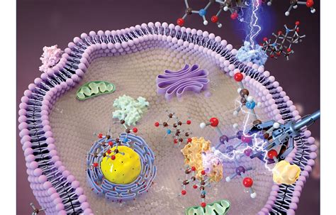 中国科学院上海药物研究所