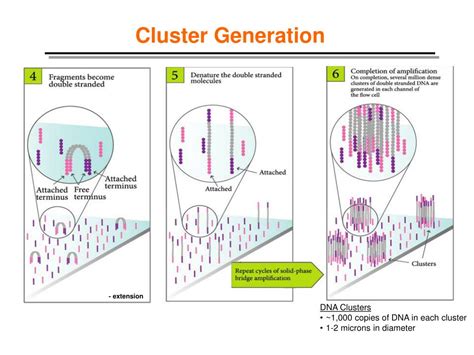 Ppt Overview And Applications Of Next Generation Sequencing