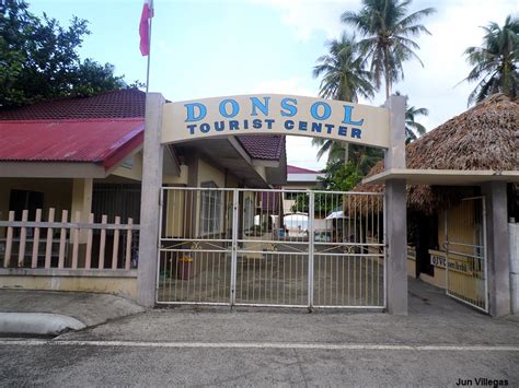 Smart Backpacker: Whale Watching in Donsol, Sorsogon