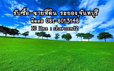 ที่ดินระยอง ขายที่ดินเปล่าถมแล้ว หลังอนุเสาวรีย์สุนทรภู่ ประมาณ 25
