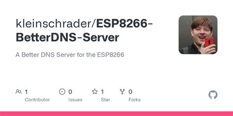 Github Kleinschraderesp8266 Betterdns Server A Better Dns Server