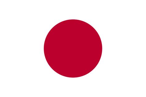 Iisca App Available Practical Functional Assessment