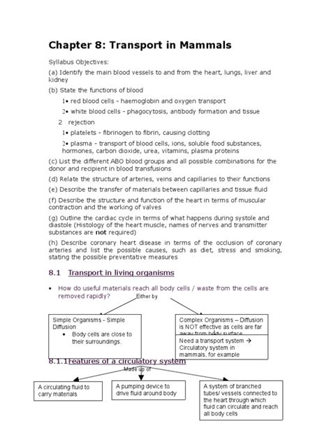 Chapter 8 Transport In Mammals Lecture Notes Pdf Artery Heart
