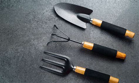 Best Garden Tools For Weeding