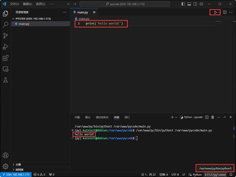 Vscode配置debian安装虚拟开发环境python Venv的教程 开心电脑网