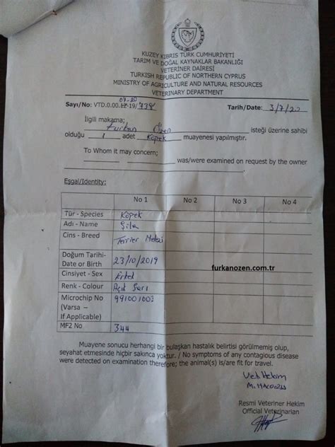 Kuzey Kıbrıstan evcil hayvan getirmek Furkan ÖZEN