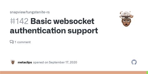 Basic Websocket Authentication Support Issue 142 Snapview