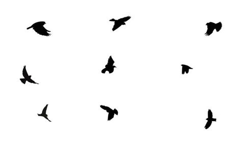 Bird Flying Animation Vector Art Icons And Graphics For Free Download