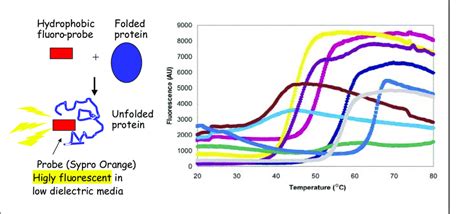 Typical Thermal Shift Assay Results Reprinted From Ericsson Ub Etal