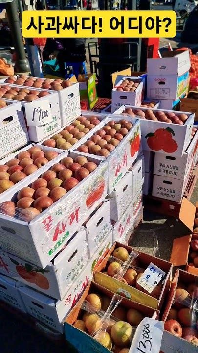 사과 싸다 어머나 뭔일이야 과일 사과 폭락 과일 시장 세일 할인 Youtube