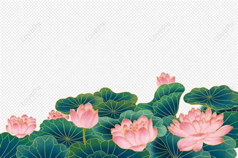 ดอกบัว Png สำหรับการดาวน์โหลดฟรี Lovepik