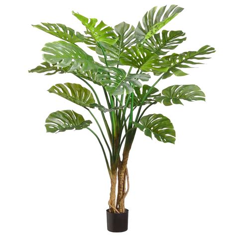 71 Inches Giant Split Philodendron Leaf Plant With 18 Leaves In Pot