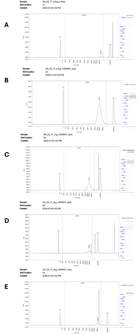 Ngi Sweden Tech Note Genomic Dna Fragmentation Using Covaris G Tubes