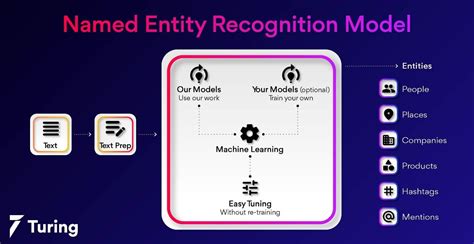 Training Ner Model To Pass Via Annotation Tools Using Spacy