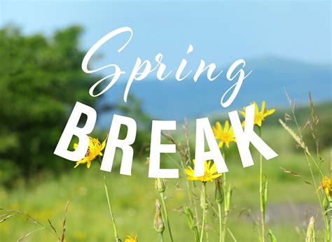 Spring Break School 2025 Usa Aya Dejong