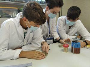 Microbiology Teaching UMH Español Sesión 3 MicroWeb UMH