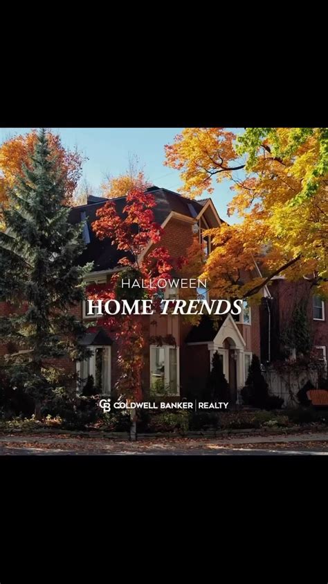 Mina Palivan Designs Interior Stylist Minapalivandesigns • Instagram Photos And Videos