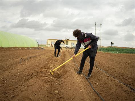 Nine Years In Remembrance The Road Ahead For Yezidi Genocide Iom Blog