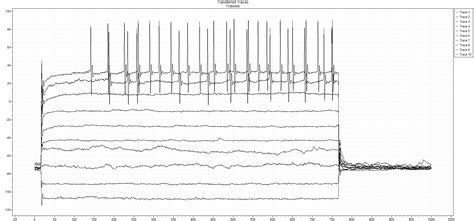 How To Remove Step Current Injection Induced Artifact In Whole Cell Recording In Vivo