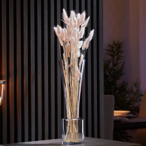 لاغوروس عشب صناعي أبيات