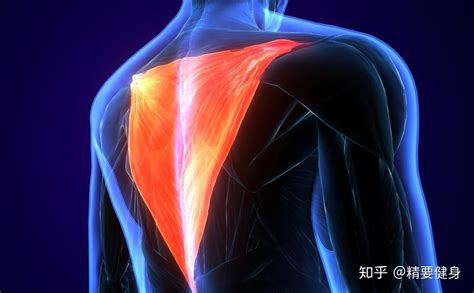 常年伏案学习，感觉斜方肌异常紧张，甚至有时候感到有异常的酸痛，类似使用中频的感觉，怎么处理？ 知乎