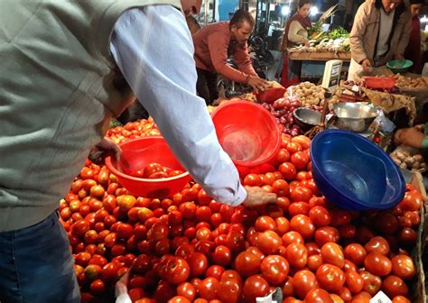 Tomato Prices Shoot In Delhi