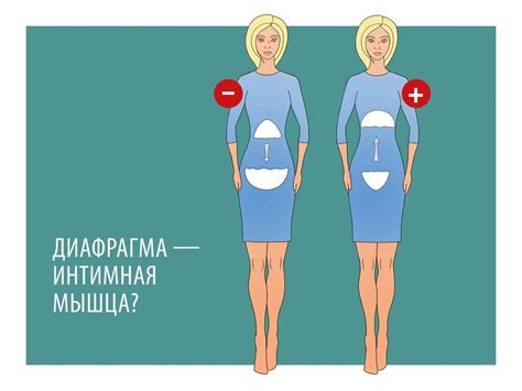 Интимная гимнастика с чем и за счет чего работает ЖЕНСКОЕ ЗДОРОВЬЕ ИНТИМНАЯ ГИМНАСТИКА