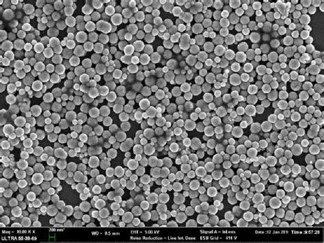 Magnetic Silicon Dioxide Microspheres With Nuclear Shell And Surface Anisotropic Double