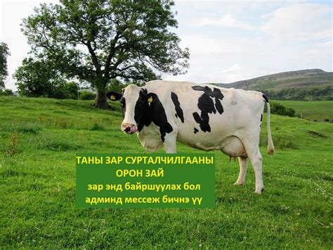 СҮҮНИЙ ҮХРИЙН ХУДАЛДАА НАЙМААНЫ НЭГДСЭН ГРУПП