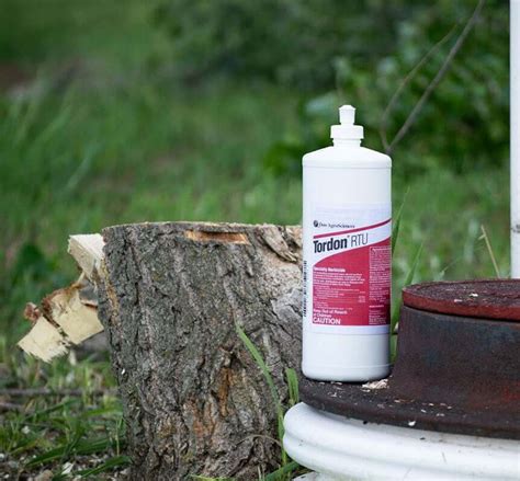 How To Secretly Kill A Tree Tools Tips Tricks