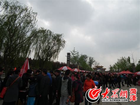 天寒挡不住赏花热情 曹州牡丹园单日迎客近4万人 菏泽大众网