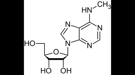Transcriptome Wide M6a Mapping With Nanopore Direct Rna Sequencing