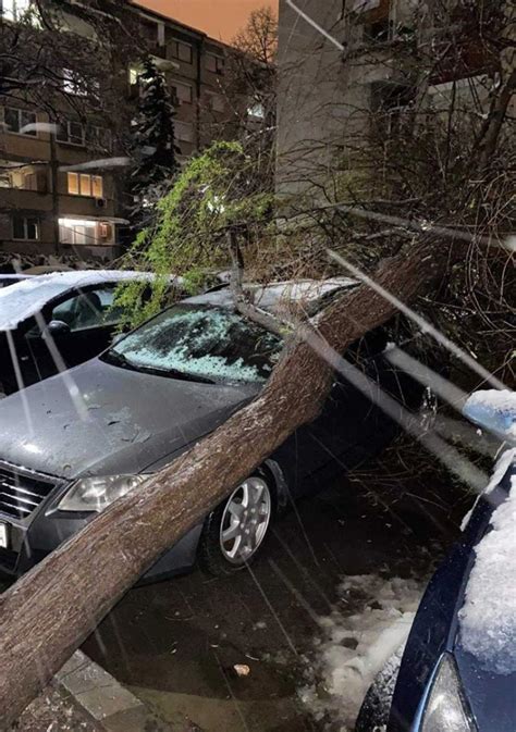 ЦУК Паднато дрво оштети три автомобили и скина кабли од бандерите кај „Млечен ресторан“ во Скопје