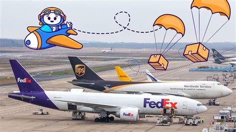 Understanding The Differences Between FedEx And UPS Shipping Pilot