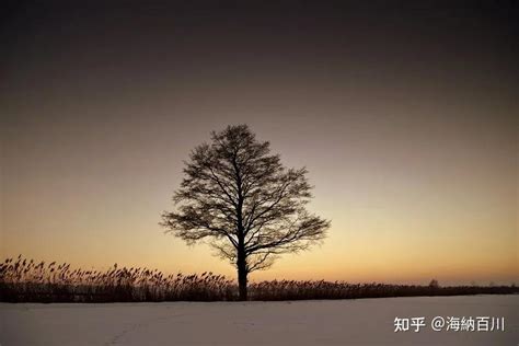 10个成语人生要懂得适度 知乎