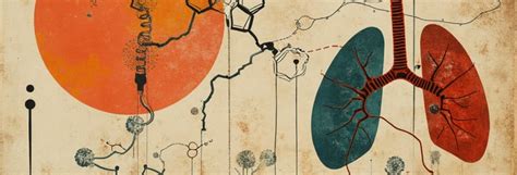 Enzyme Function And Metabolic Pathways