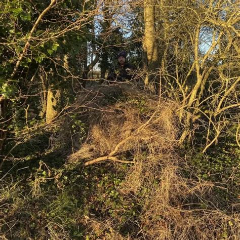 Spectrashield Stargazer System Mss Defence