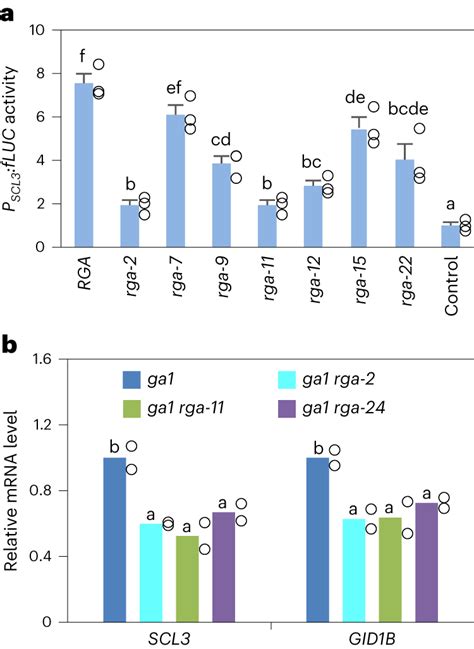 Missense Rga Mutant Proteins Showed Varying Degrees Of Reduced