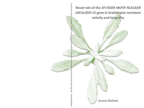 Novel Role Of The At Hook Motif Nuclear Localized 15 Gene In