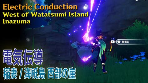 【原神】電気伝導稲妻海祇島 西部の崖（19114） Electric Conductionwest Of Watatsumi
