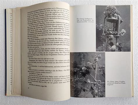 Manta By Hans Hass German Language Version The Historical Diving